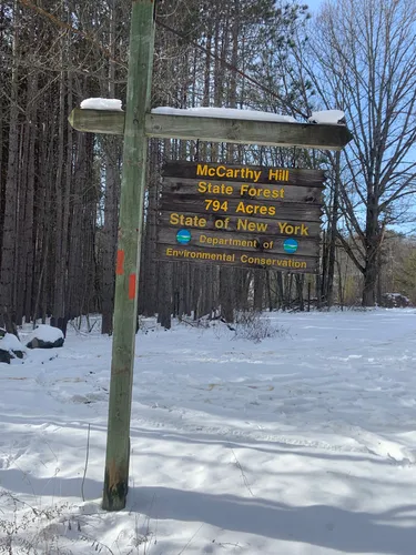Best Hikes and Trails in McCarthy Hill State Forest | AllTrails