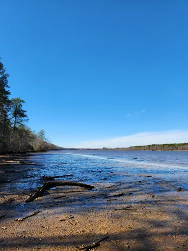 Best Hikes and Trails in Sandy Point State Forest | AllTrails