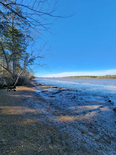 Best Hikes and Trails in Sandy Point State Forest | AllTrails