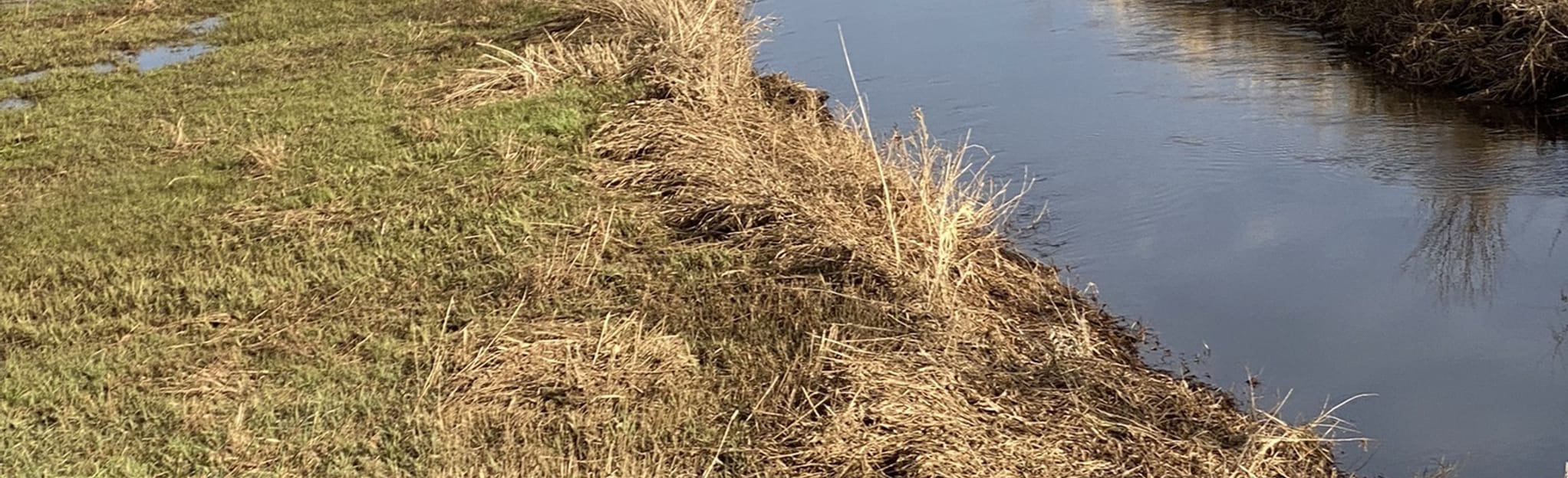 Roden - Lieveren Cycle Trail, Drenthe, Netherlands - Map, Guide | AllTrails