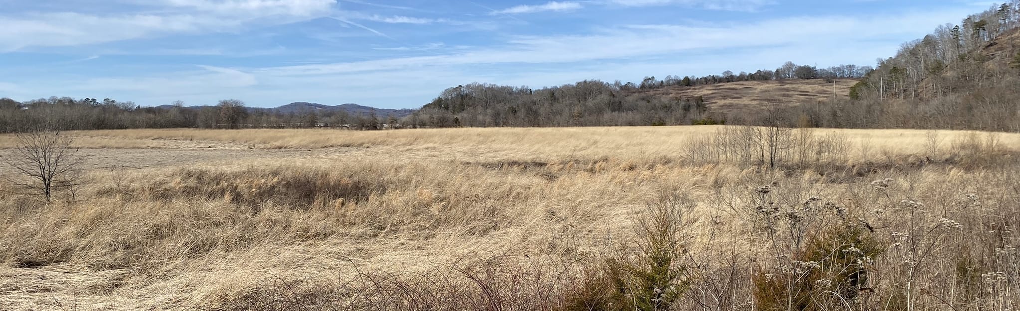 Kelly Lane Greenway, Tennessee - 223 Reviews, Map | AllTrails