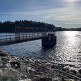 Mill Pond Reservoir Loop, Massachusetts - 1,338 Reviews, Map | AllTrails