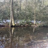 Appalachian Trail, Hosack Run, and Locust Gap Loop, Pennsylvania - 452 ...