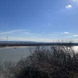 Bee Tree Lake Loop, Missouri - 556 Reviews, Map | AllTrails