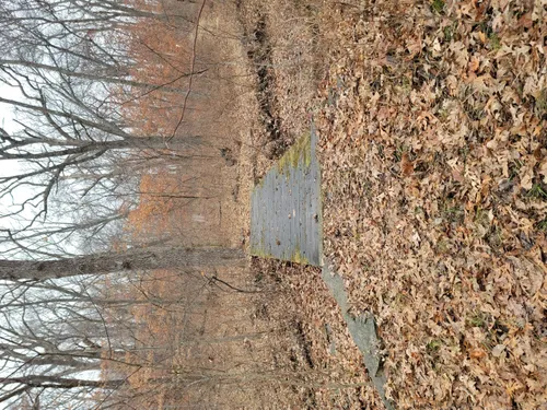 Best Hikes and Trails in Trice-Dedman Memorial Woods | AllTrails