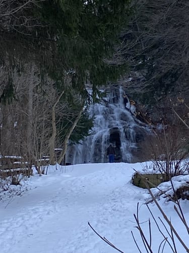 Best Hikes and Trails in Delphi Falls Park | AllTrails