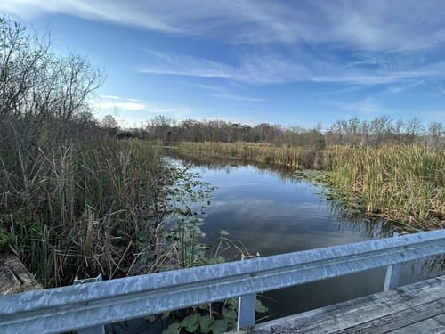 Best Hikes and Trails in Emeralda Marsh Conservation Area | AllTrails