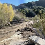 East Walker Loop, California - 426 Reviews, Map | AllTrails