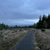 Cooper Mountain Trail, Oregon - 638 Reviews, Map | AllTrails