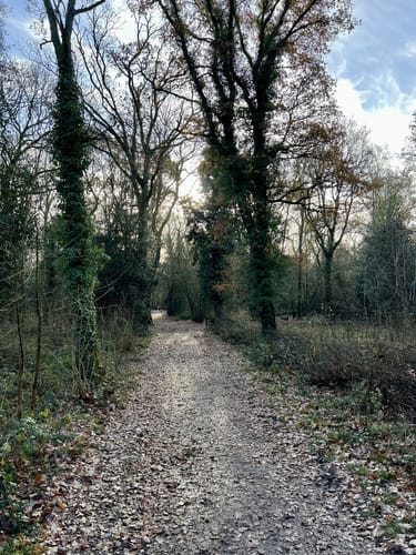 2023 Best Forest Trails in Worcester Woods Country Park | AllTrails