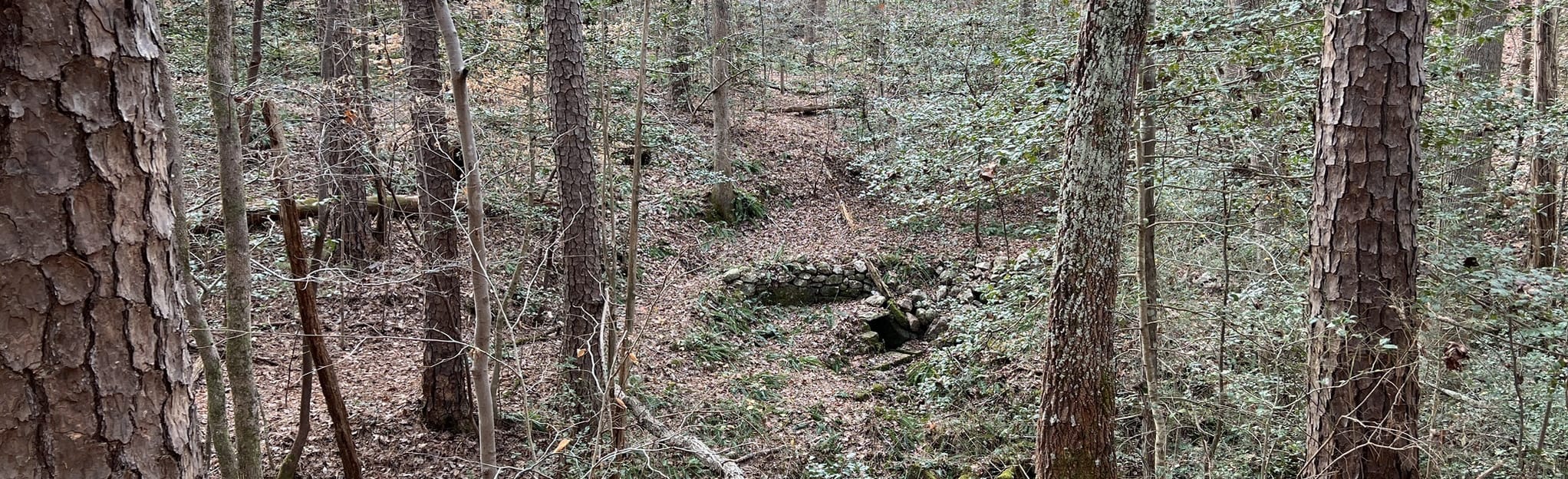 Buck Spring Graveyard and Rockpile Trail Loop | Map, Guide - North ...