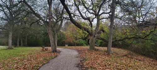 Best Hikes and Trails in Copperas Cove | AllTrails
