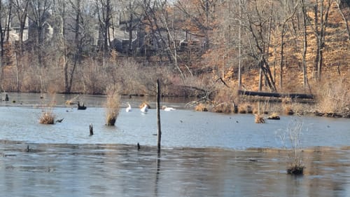 Best Hikes and Trails in Wapping Park | AllTrails