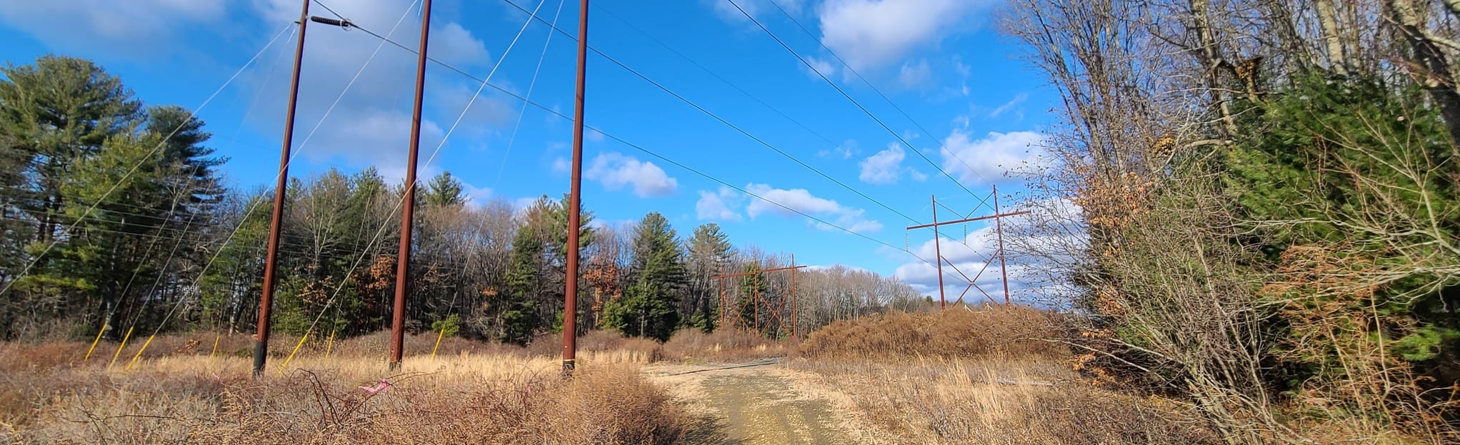 Wapping Park Stanley Drive Trail: 17 Reviews, Map - Connecticut | AllTrails