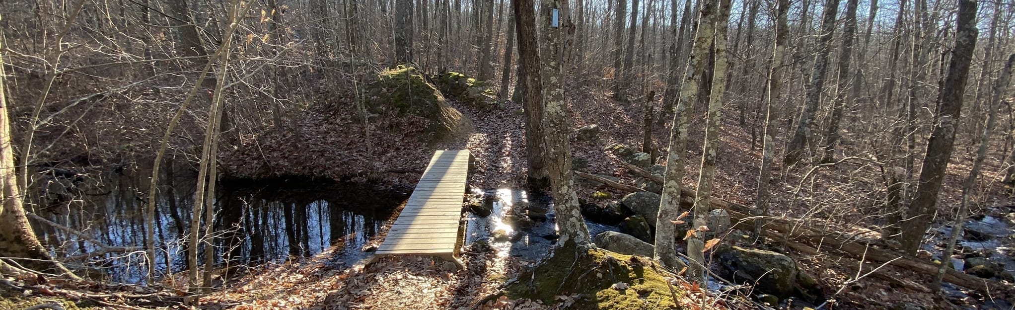 Shenipsit Trail: 240 Reviews, Map - Connecticut | AllTrails