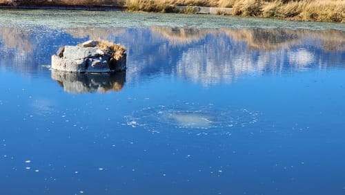 2023 Best Hot Springs Trails in Lone Pine | AllTrails