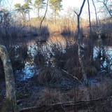 Peconic River, New York - 39 Reviews, Map | AllTrails