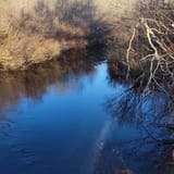 Peconic River, New York - 39 Reviews, Map | AllTrails