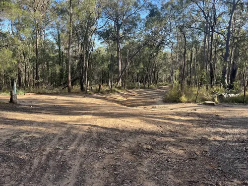 2023 Best Long Trails in Daisy Hill Conservation Park | AllTrails