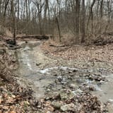 Farmdale Recreation Area Trail, Illinois - 848 Reviews, Map | AllTrails