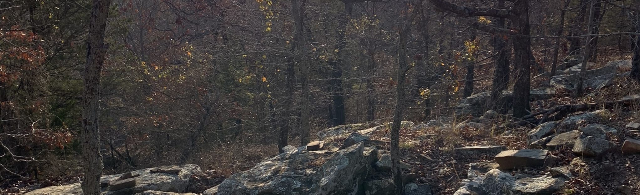 Arrowhead State Park Trails 3, 1, 2: 81 Reviews, Map - Oklahoma | AllTrails