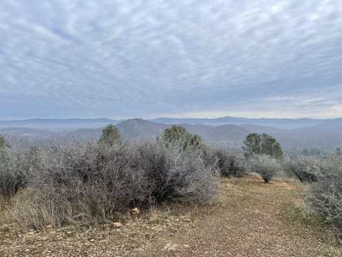 Best Hikes and Trails in Red Hills Recreation Management Area | AllTrails