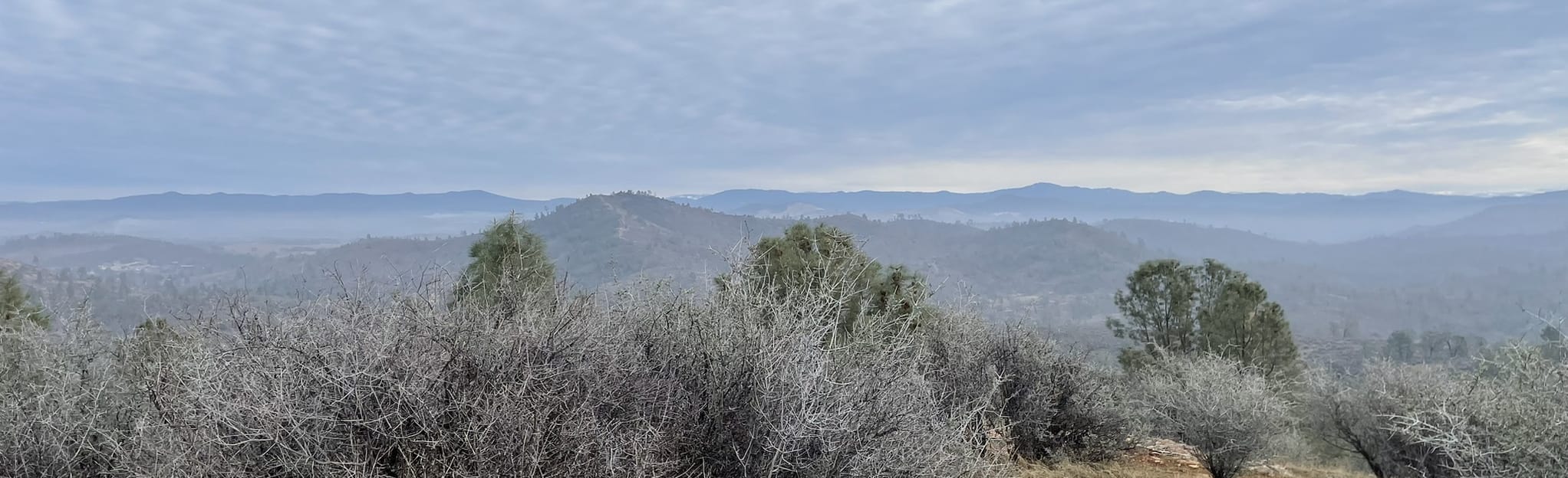 Overlook and Red Hills Loop: 63 Reviews, Map - California | AllTrails