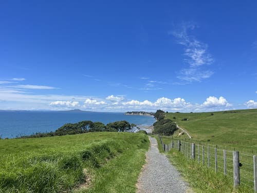 2023 Best 10 Trails and Hikes in Auckland | AllTrails