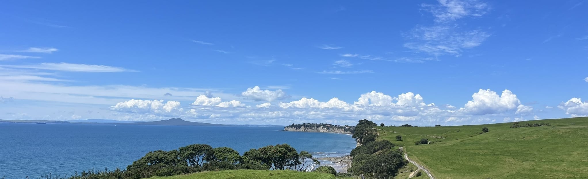 Long Bay - Okura Track: 479 Reviews, Map - Auckland, New Zealand ...