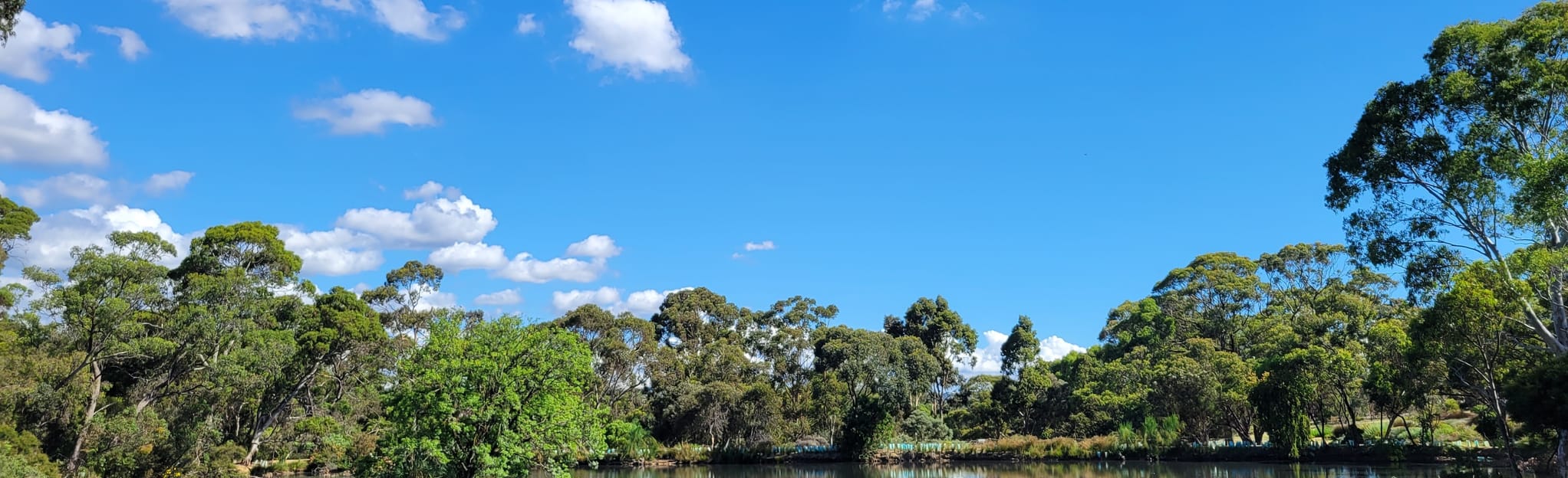 Wittunga Botanic Gardens, South Australia, Australia - 19 Reviews, Map ...