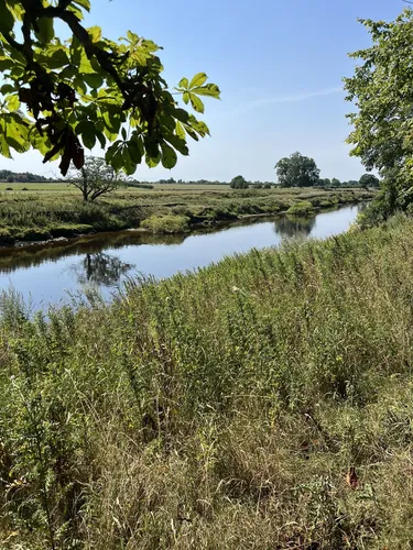 10 Best Trails, Walks, and Paths in York | AllTrails