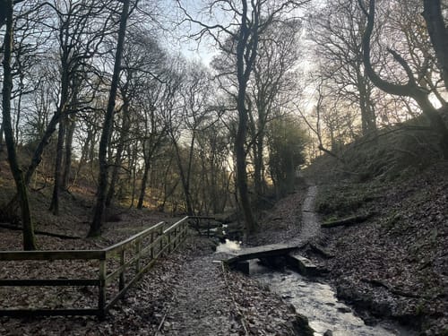 Best Hikes and Trails in Shelf Hall Park | AllTrails