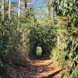 Appalachian Trail, Hosack Run, and Locust Gap Loop, Pennsylvania - 428 ...