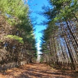 Appalachian Trail, Hosack Run, and Locust Gap Loop, Pennsylvania - 428 ...