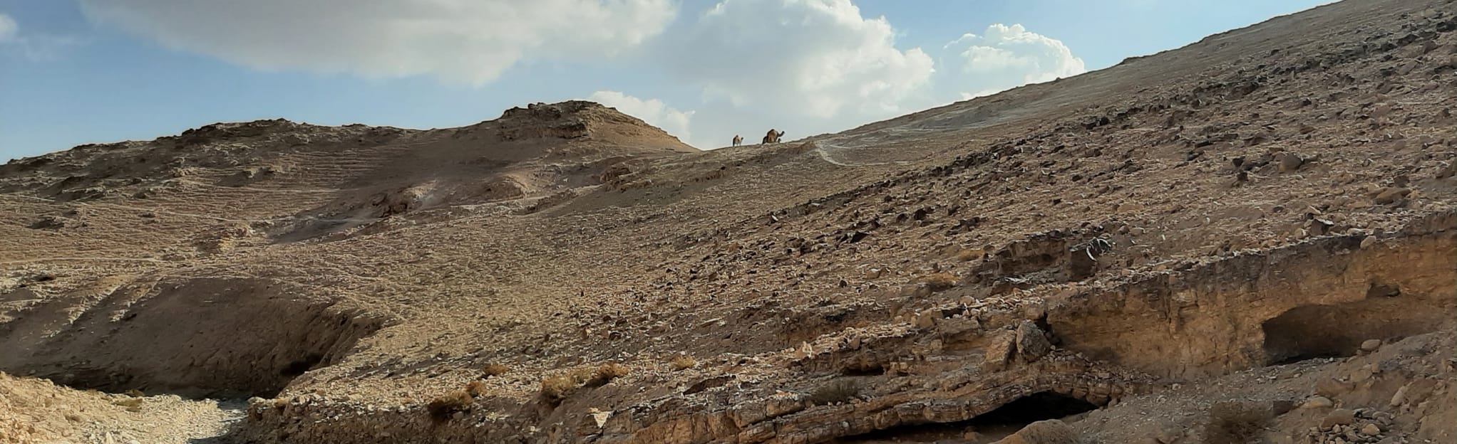 Moav Observatory and Nahal Praim: 3 Reviews, Map - Southern District ...