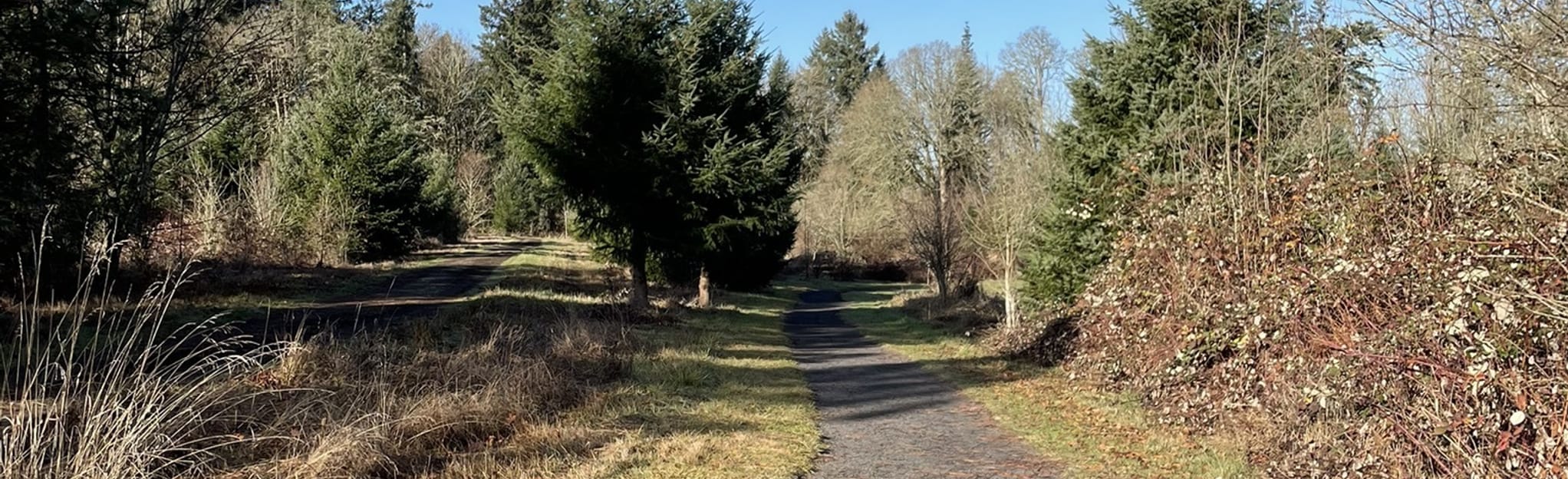 Tualatin River Refuge River Trail, Oregon - 346 Reviews, Map | AllTrails
