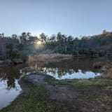 Frog Lake Loop Trail, California - 592 Reviews, Map | AllTrails