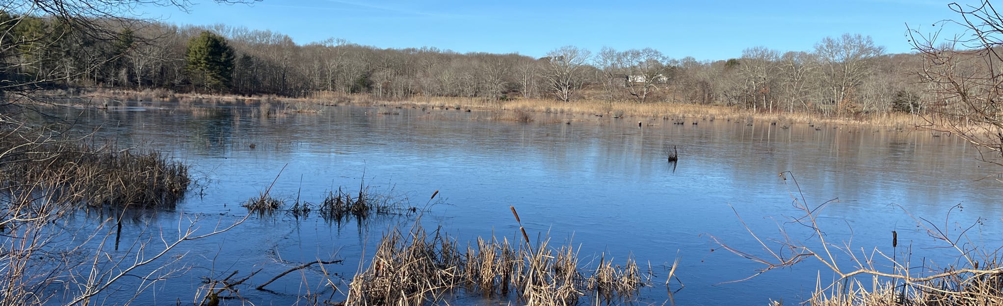 Avery Farm Blue Trail: 244 Reviews, Map - Connecticut | AllTrails