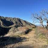East Walker Loop, California - 430 Reviews, Map | AllTrails