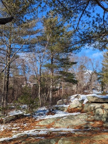 Best Hikes and Trails in Androscoggin Riverwalk Park | AllTrails