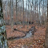 Matildaville Trail, Virginia - 209 Reviews, Map | AllTrails