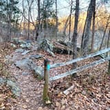 Matildaville Trail, Virginia - 209 Reviews, Map | AllTrails