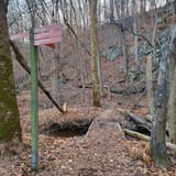 Matildaville Trail, Virginia - 209 Reviews, Map | AllTrails