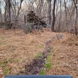 Matildaville Trail, Virginia - 209 Reviews, Map | AllTrails