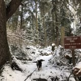 Ridge Loop Trail , Washington - 344 Reviews, Map | AllTrails