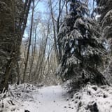 Ridge Loop Trail , Washington - 344 Reviews, Map | AllTrails