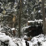 Ridge Loop Trail , Washington - 344 Reviews, Map | AllTrails