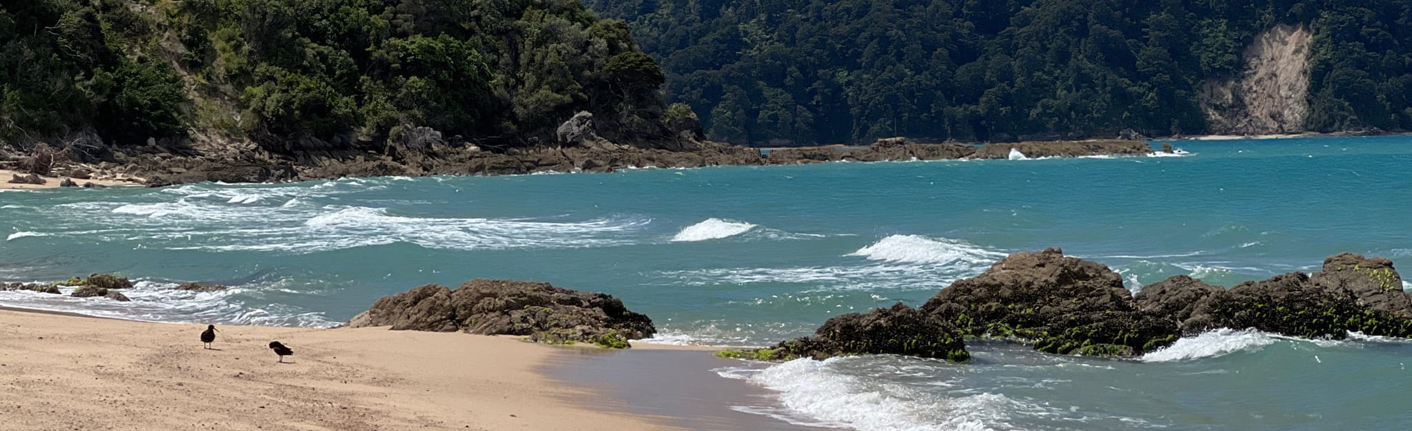 Tōtaranui Beach Track to Waiharakeke Bay: 112 Reviews, Map - Nelson ...