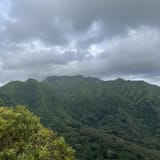 Manoa Cliff Trail, Oahu, Hawaii - 806 Reviews, Map | AllTrails