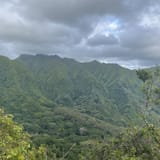 Manoa Cliff Trail, Oahu, Hawaii - 806 Reviews, Map | AllTrails